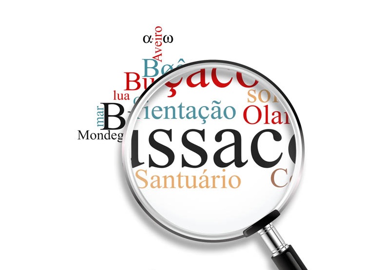 "Na mira do Bussaco", de Nuno Alegre, apresentado sábado no Cineteatro ...